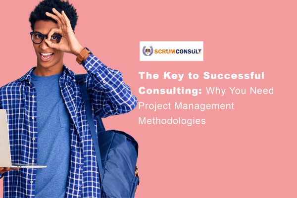 The Key to Successful Consulting: Why You Need Project Management Methodologies – scrum consult