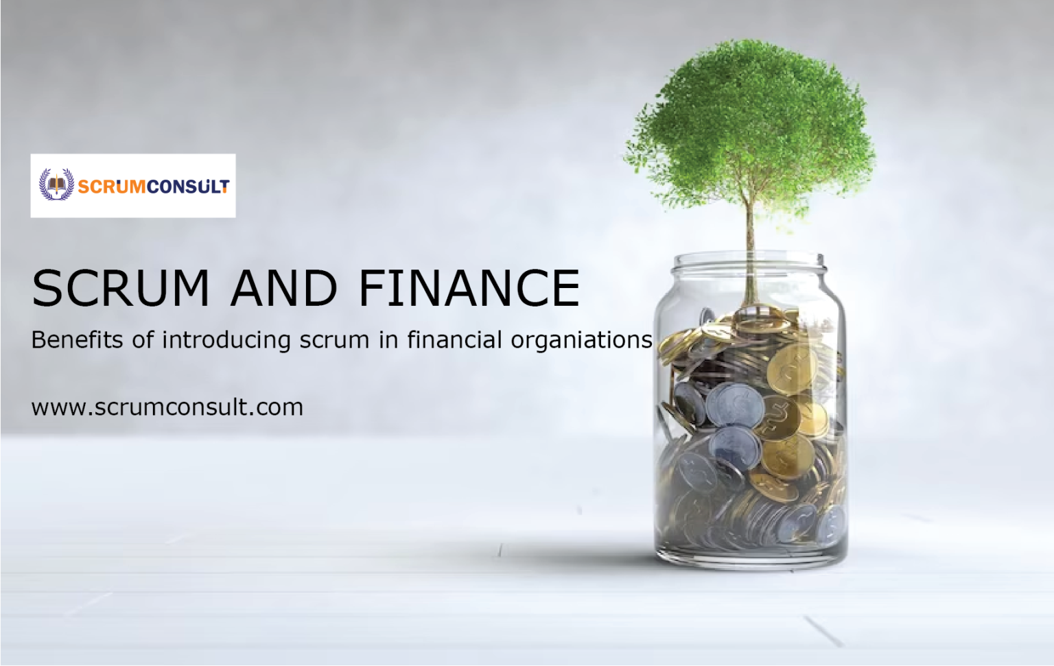 Benefits of introducing Scrum in a financial organization - scrum consult